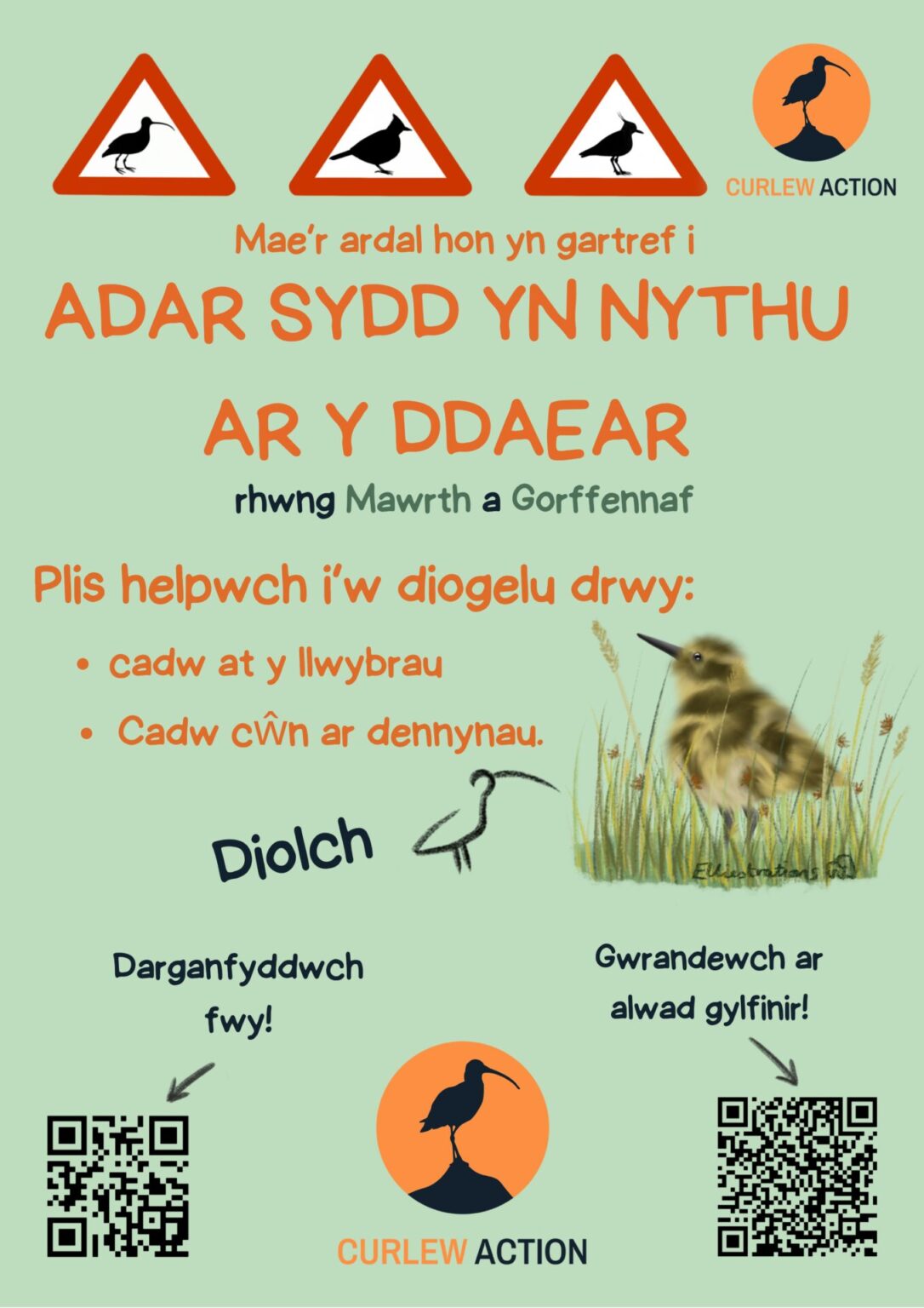 Ground-nesting bird signs | Curlew Action