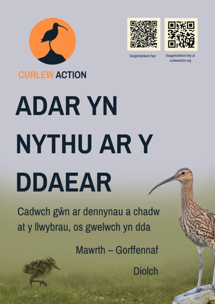 Ground-nesting bird signs | Curlew Action