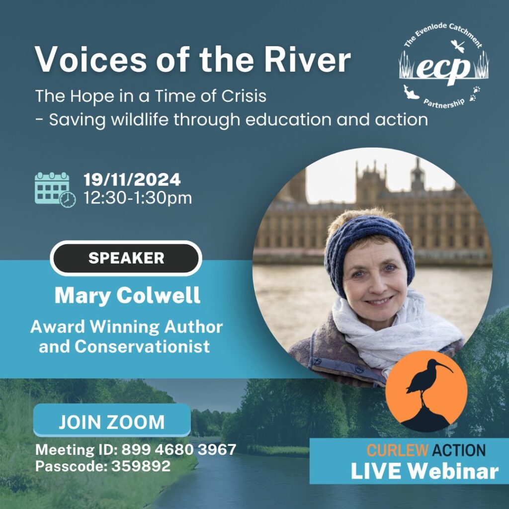 Events | Curlew Action