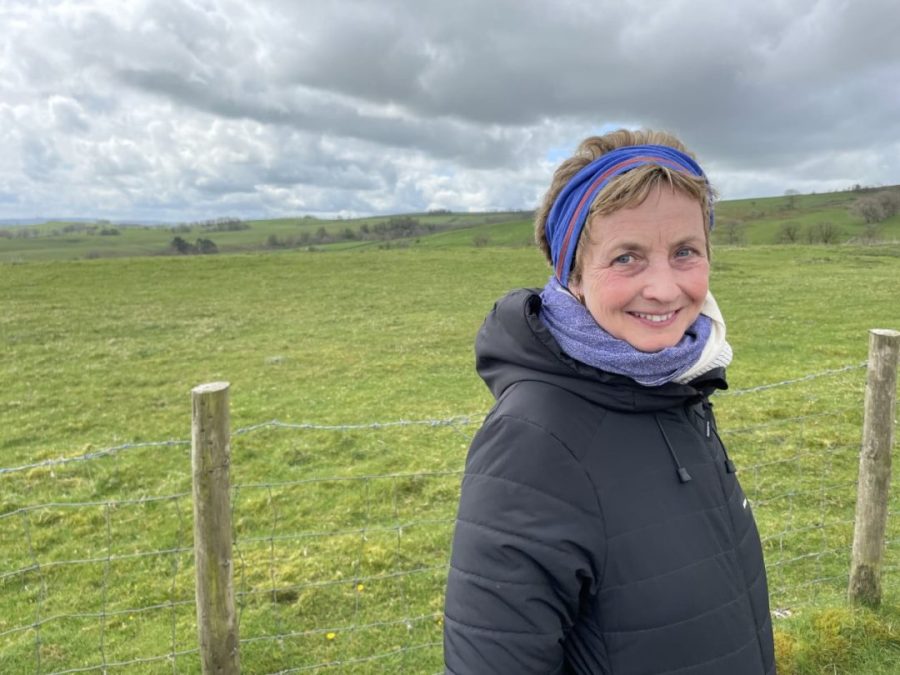 World Curlew Day judges