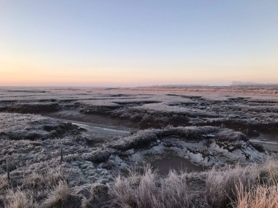 Our favourite wetlands | Curlew Action