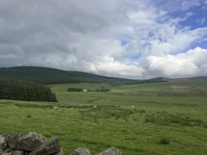 Protecting Wading Birds in Farmed Landscapes in Southwest Scotland ...