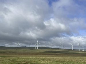 Protecting Wading Birds in Farmed Landscapes in Southwest Scotland ...
