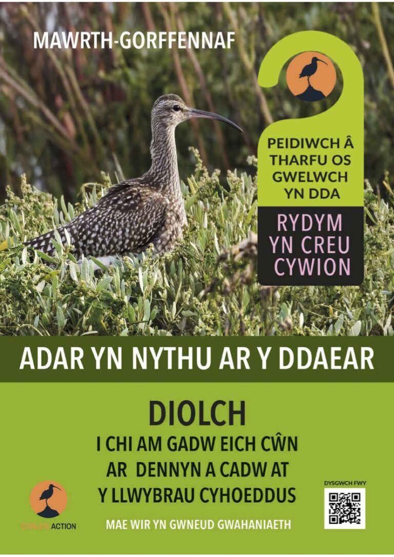 Ground-nesting bird signs | Curlew Action