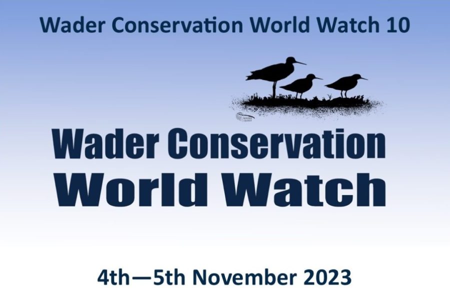 Take part in Wader Conservation World Watch | Curlew Action